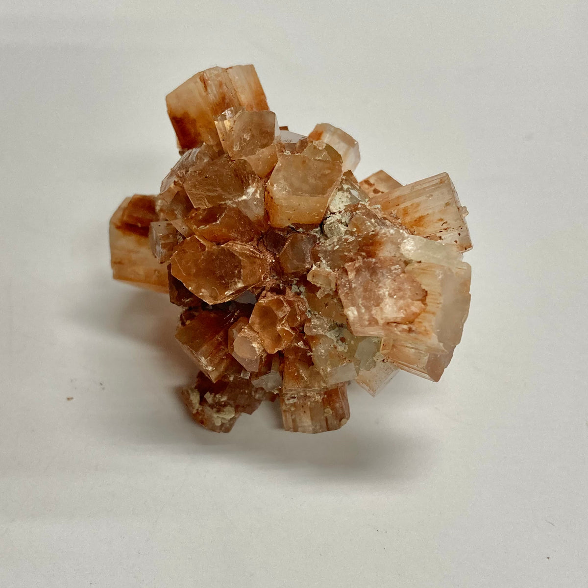 Aragonite – Past & Present Science and Nature Store