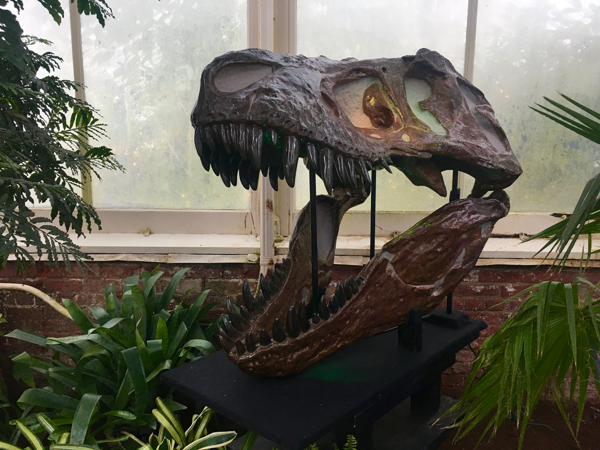 Past Events/Exhibitions – Past & Present Science and Nature Store