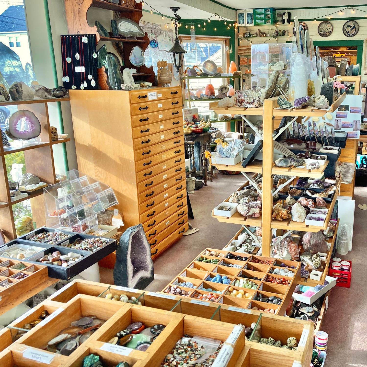 Past & Present Science and Nature Store