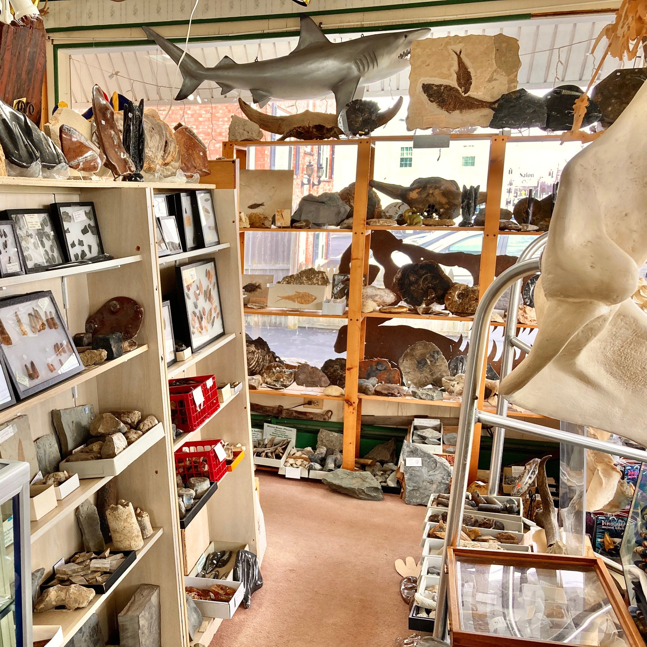 Past & Present Science and Nature Store