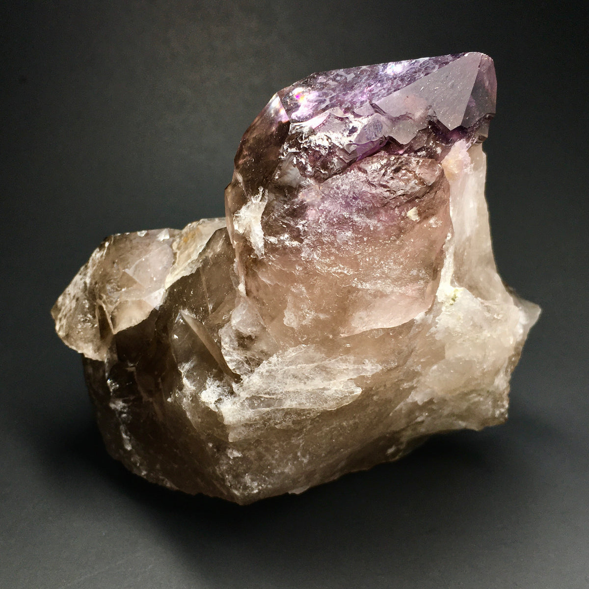 Elestial Smoky Amethyst – Past & Present Science and Nature Store